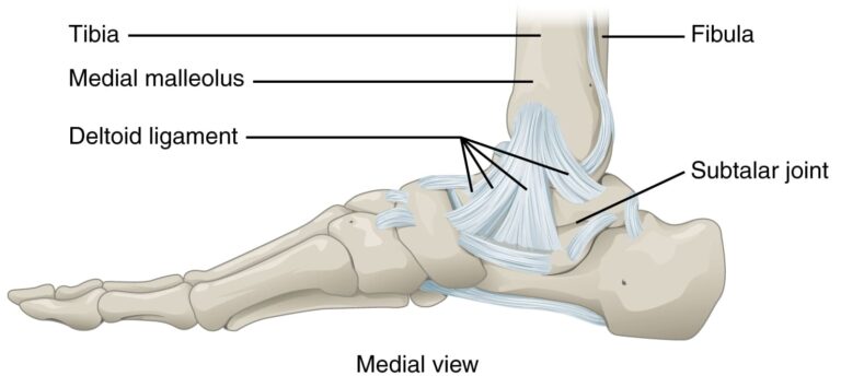 Inner Ankle Pain Causes & Treatment | Expert Advice From a PT